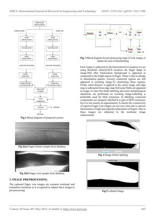 Human identification using finger images | PDF