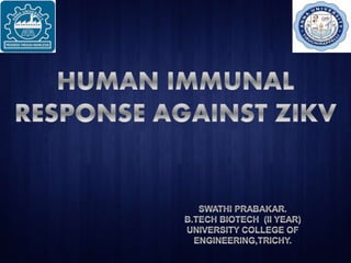 Human immunal response against zika | PPTX | Infectious Diseases ...