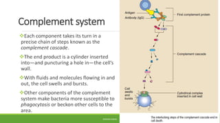 Human immune system | PPSX