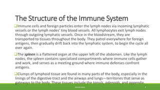 Human immune system | PPSX