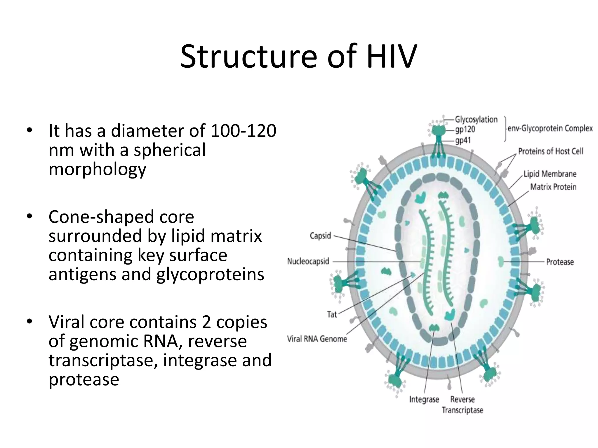 Human immunodeficiency virus(hiv) | PPTX