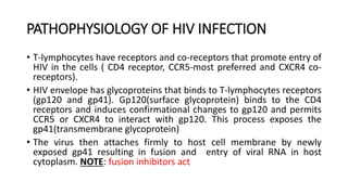 HIV Infection in Adults | PPT