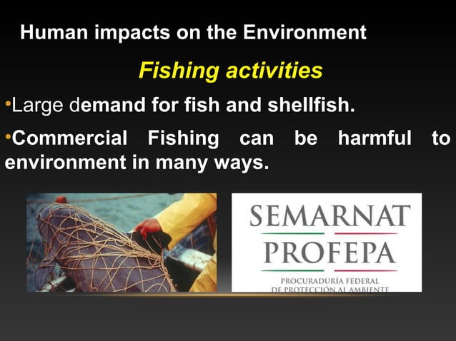 Human impact on environment | PPT