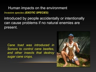 Human impact on environment | PPT