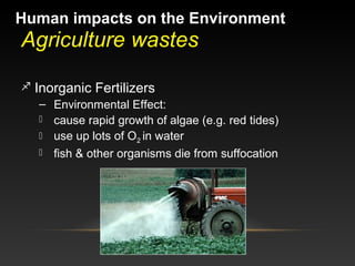 Human impact on environment | PPT