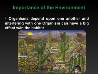 Human impact on environment | PPT