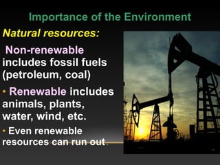 Human impact on environment | PPT