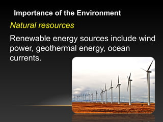 Human impact on environment | PPT