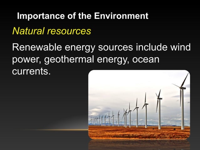 Human impact on environment | PPT