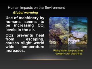 Human impact on environment | PPT