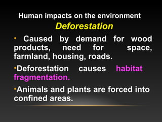 Human impact on environment | PPT