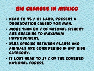 Human impact in the environment | PPTX