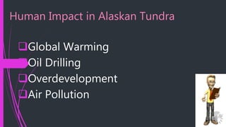Human Impact on Alaskan Tundra (1).pptx