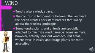 Human Impact on Alaskan Tundra (1).pptx
