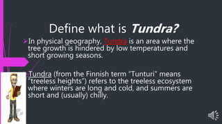 Human Impact on Alaskan Tundra (1).pptx