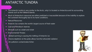 Human Impact on Alaskan Tundra (1).pptx