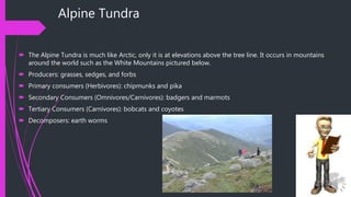 Human Impact on Alaskan Tundra (1).pptx