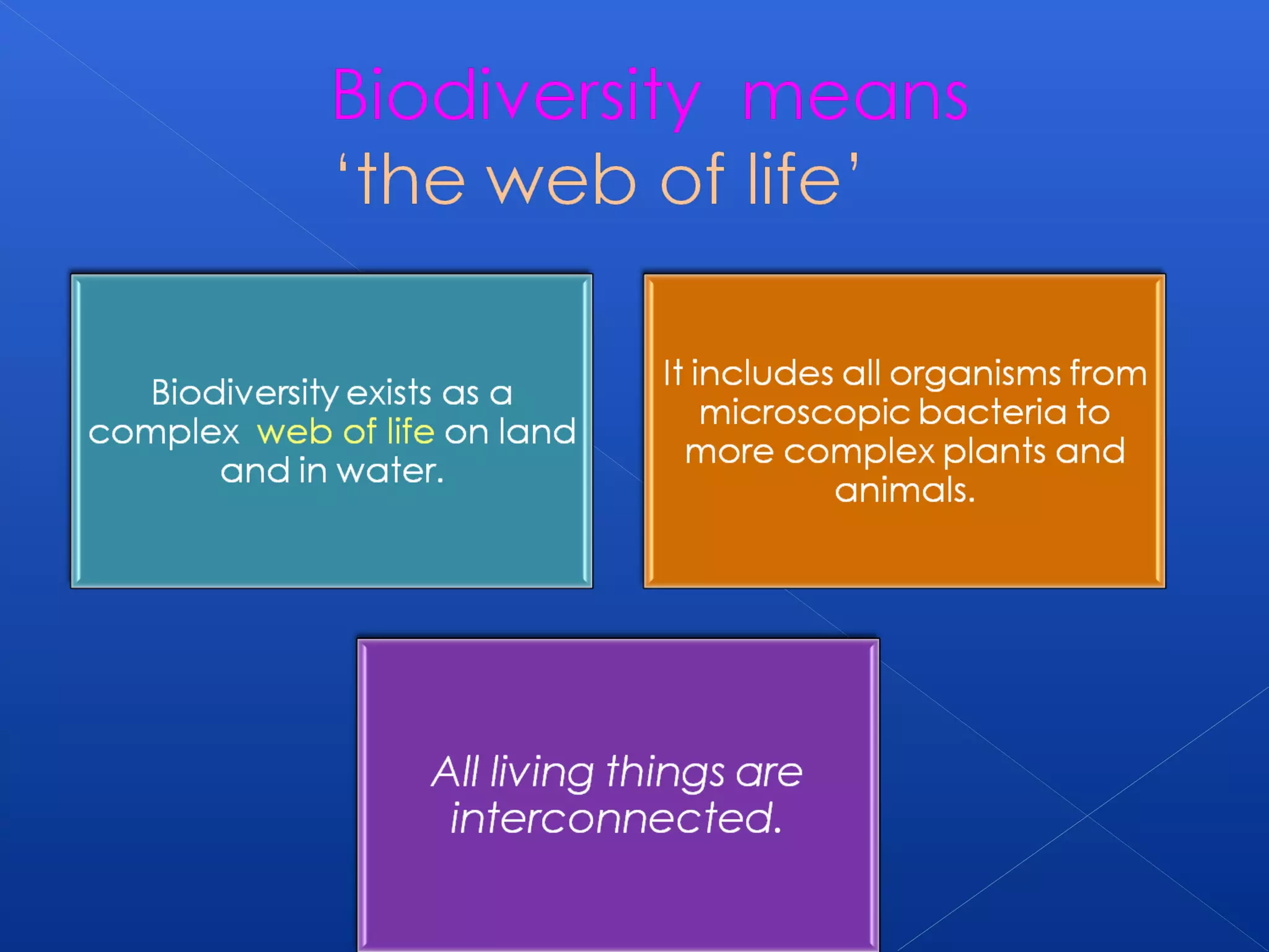 Human impact on biodiversity | PPT