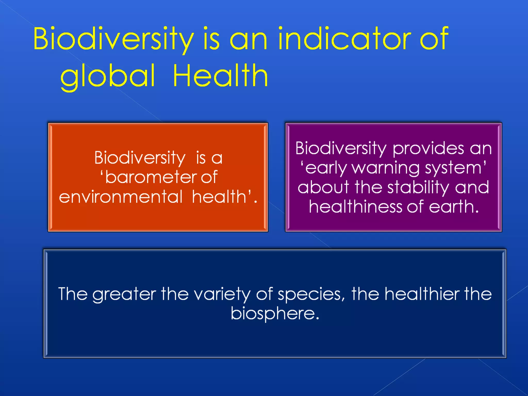 Human impact on biodiversity | PPT