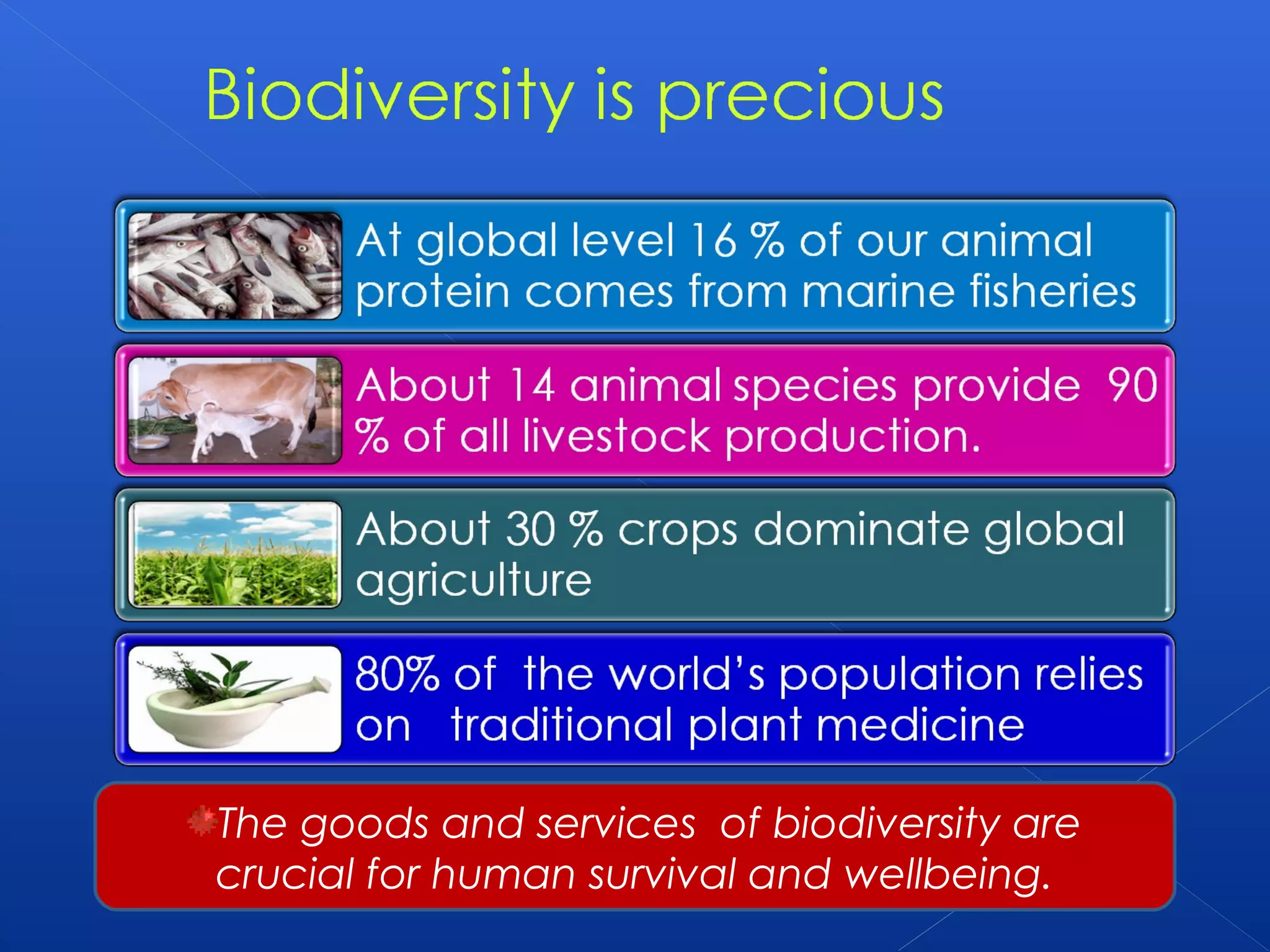 Human impact on biodiversity | PPT