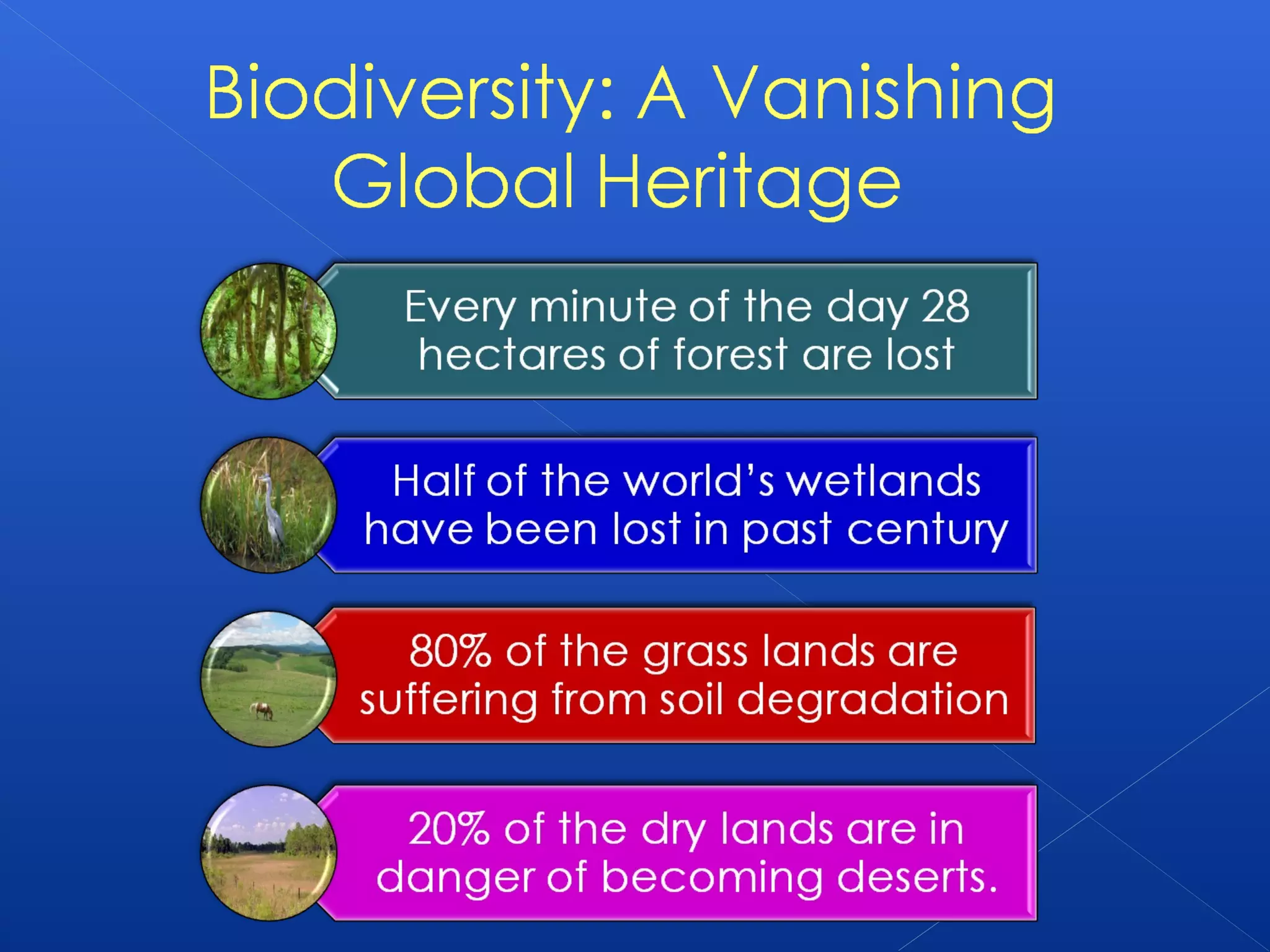 Human impact on biodiversity | PPT