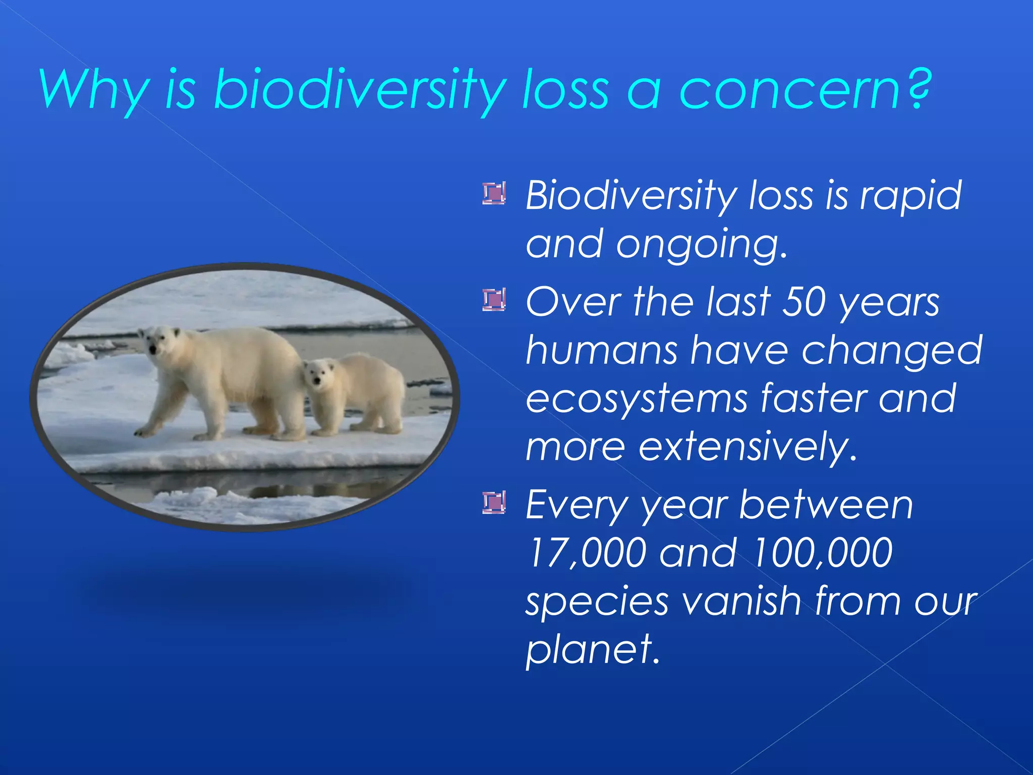 Human impact on biodiversity | PPT
