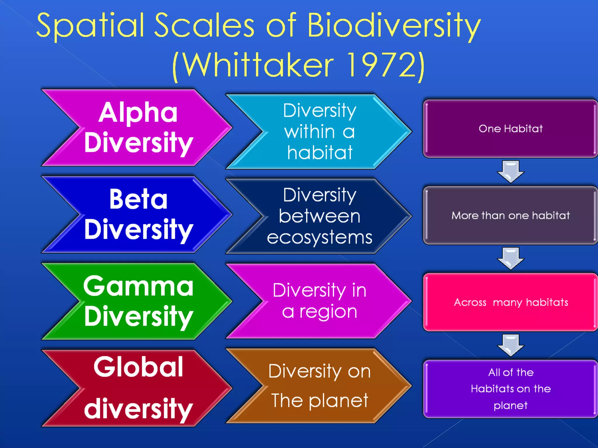 Human impact on biodiversity | PPT | Science