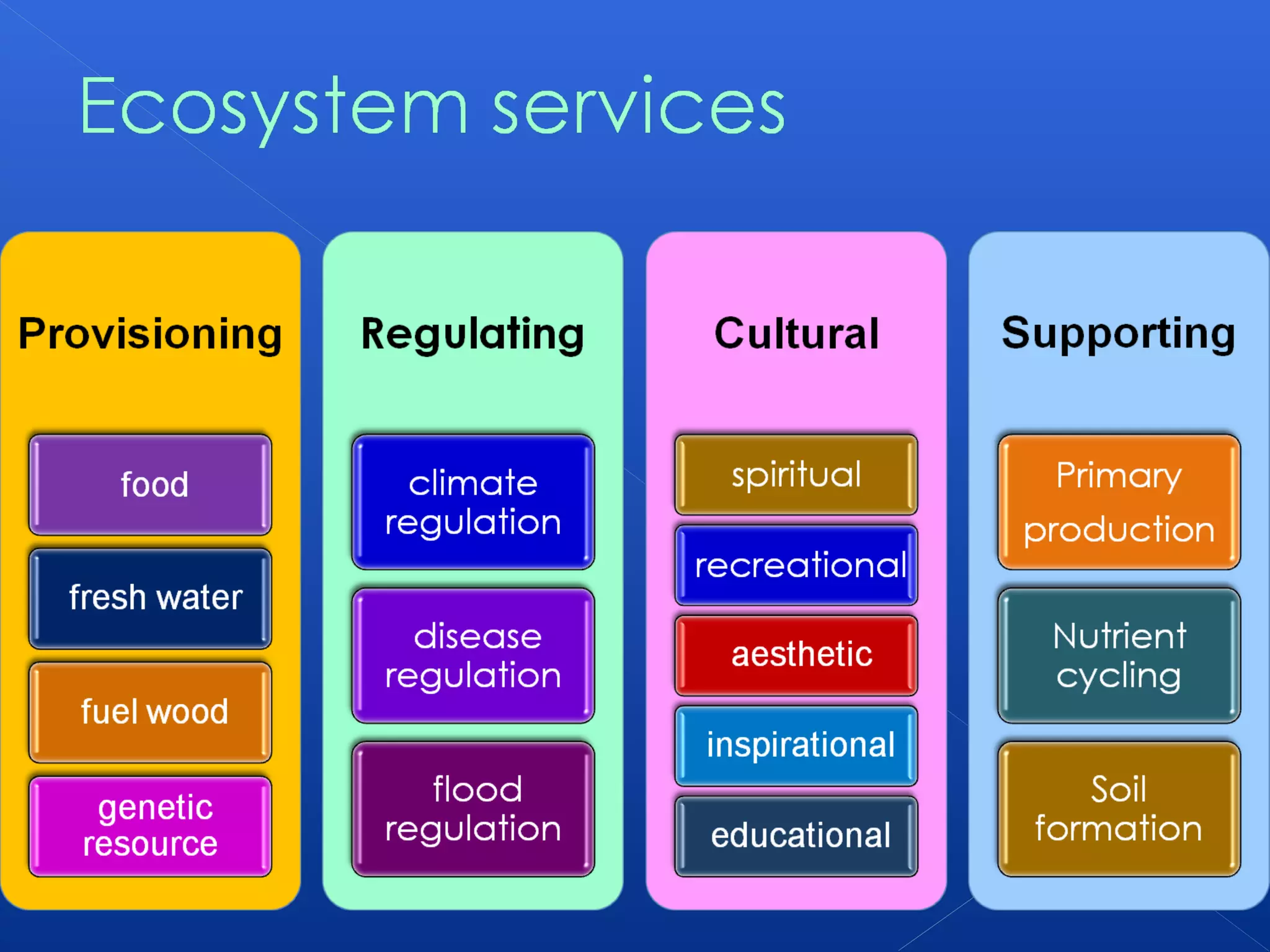 Human impact on biodiversity | PPT | Science