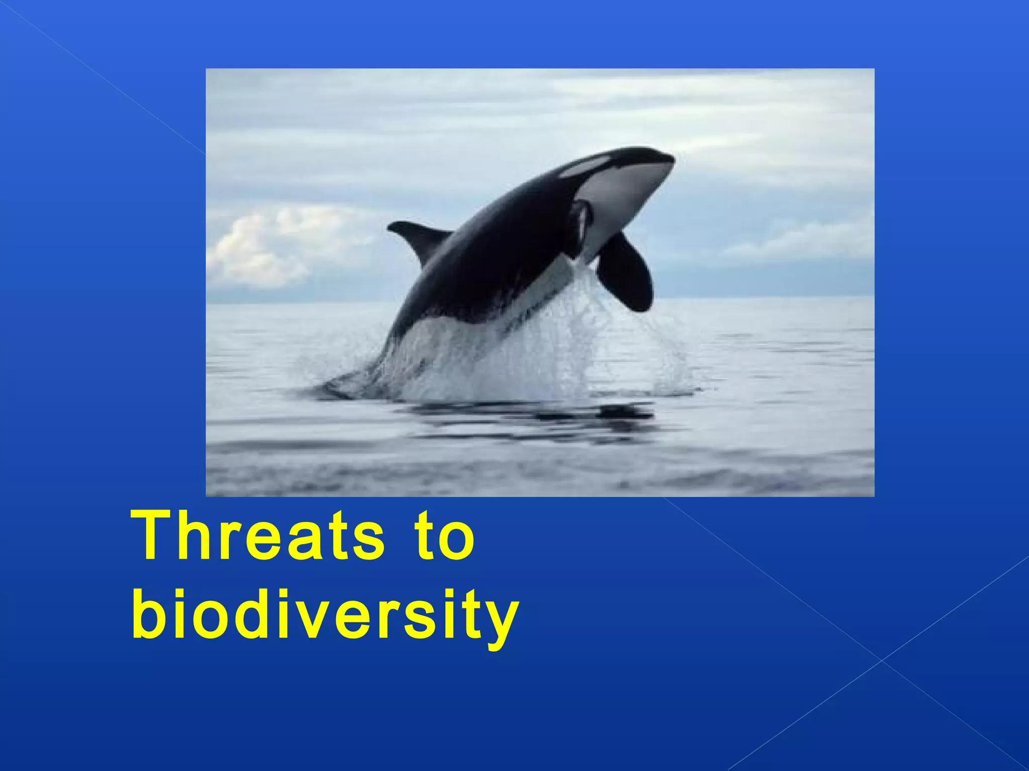 Human impact on biodiversity | PPT
