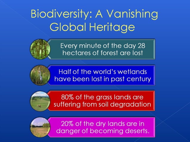 Human impact on biodiversity | PPT | Science