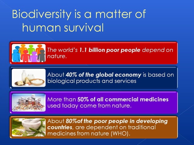 Human impact on biodiversity | PPT | Science