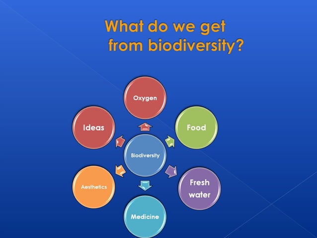 Human impact on biodiversity | PPT | Science