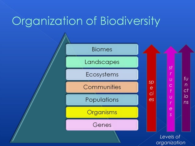 Human impact on biodiversity | PPT | Science