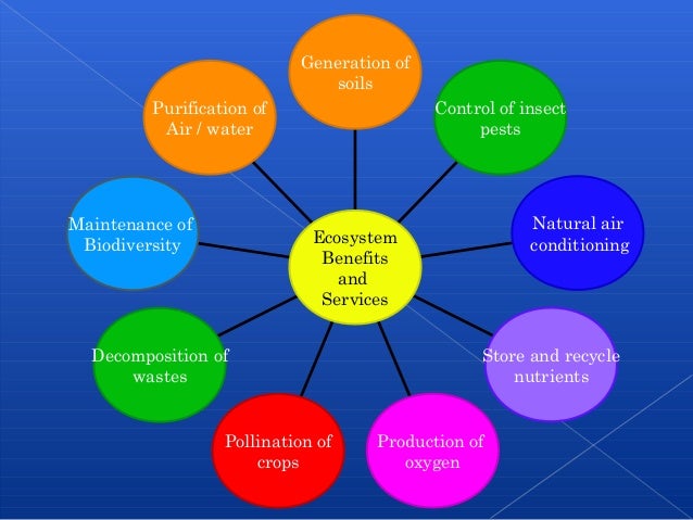 Human impact on biodiversity