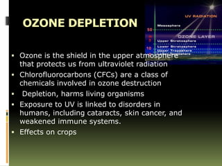 Human impact on ecology | PPTX