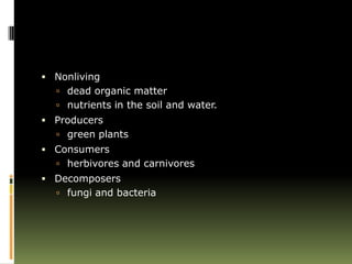 Human impact on ecology | PPTX