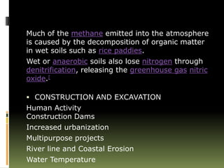 Human impact on ecology | PPTX