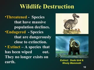 Human Impact on Ecosystems | PPT