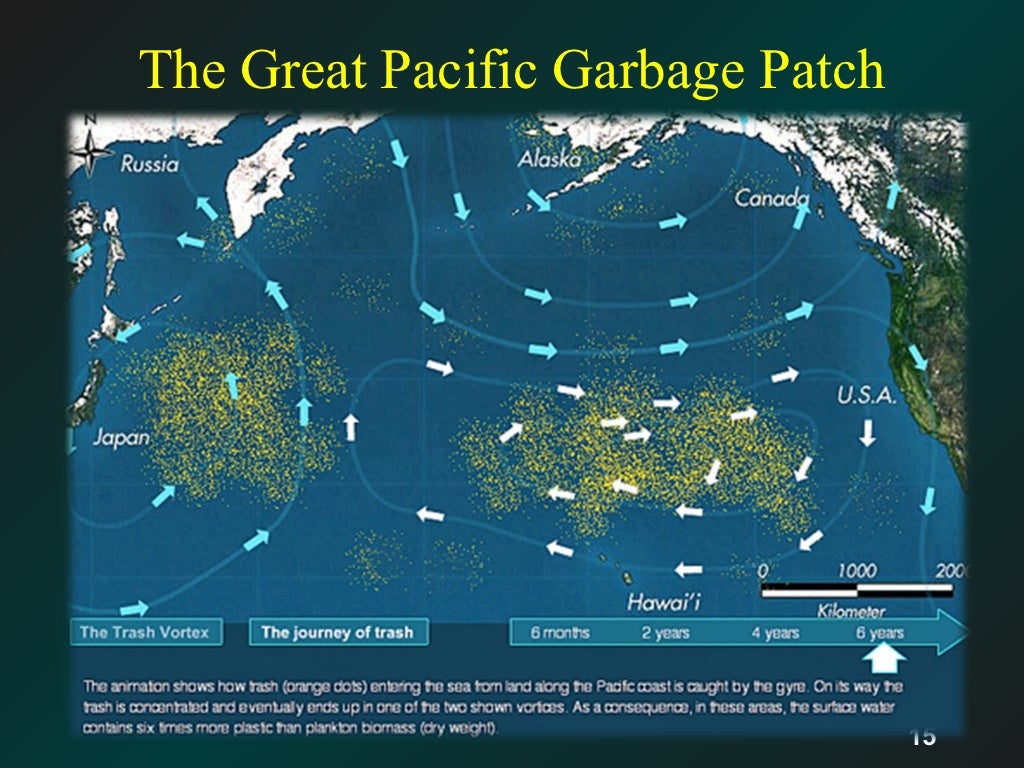 Human Impact On Ecosystems