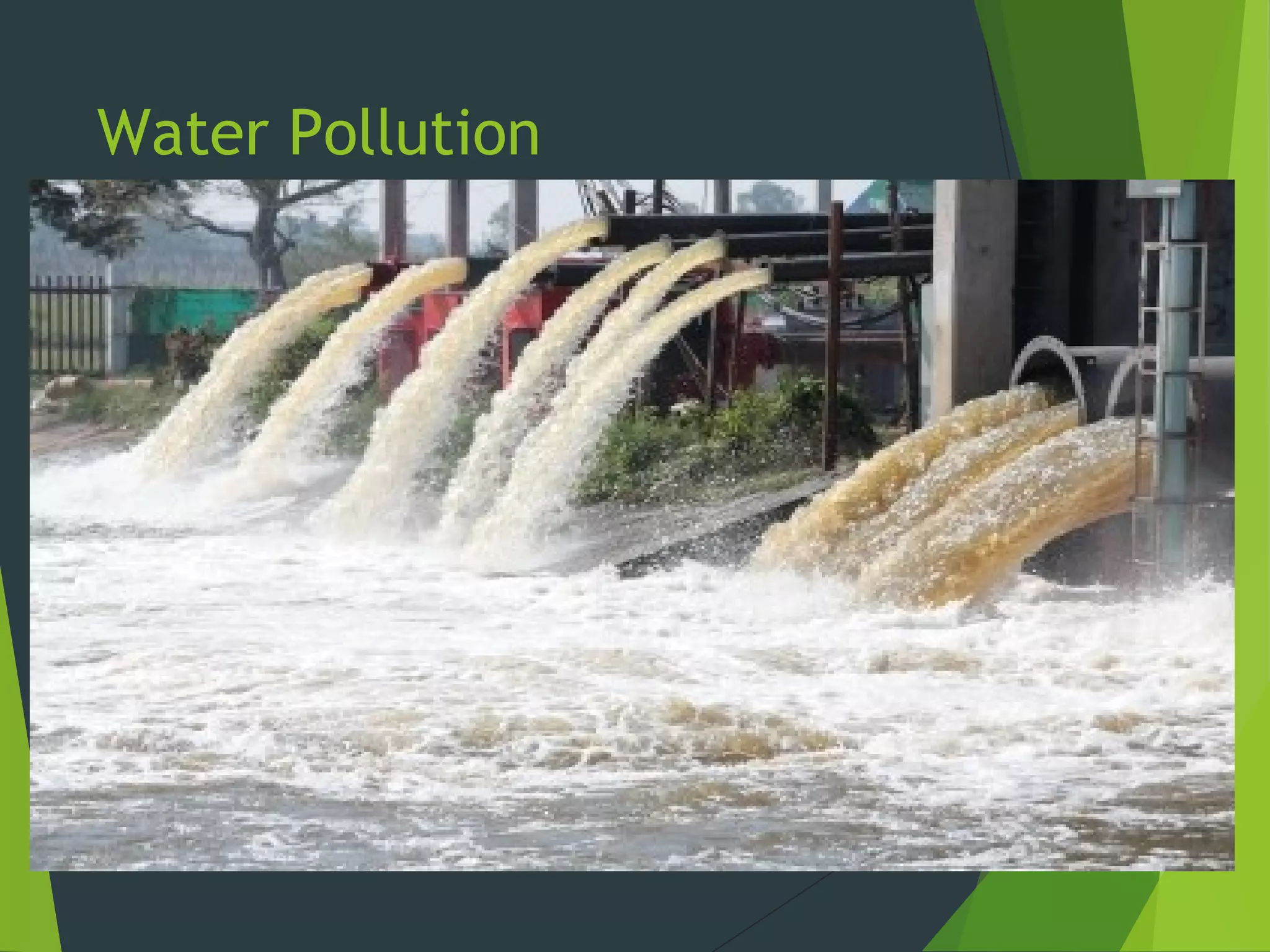 Human impact on environment | PPT