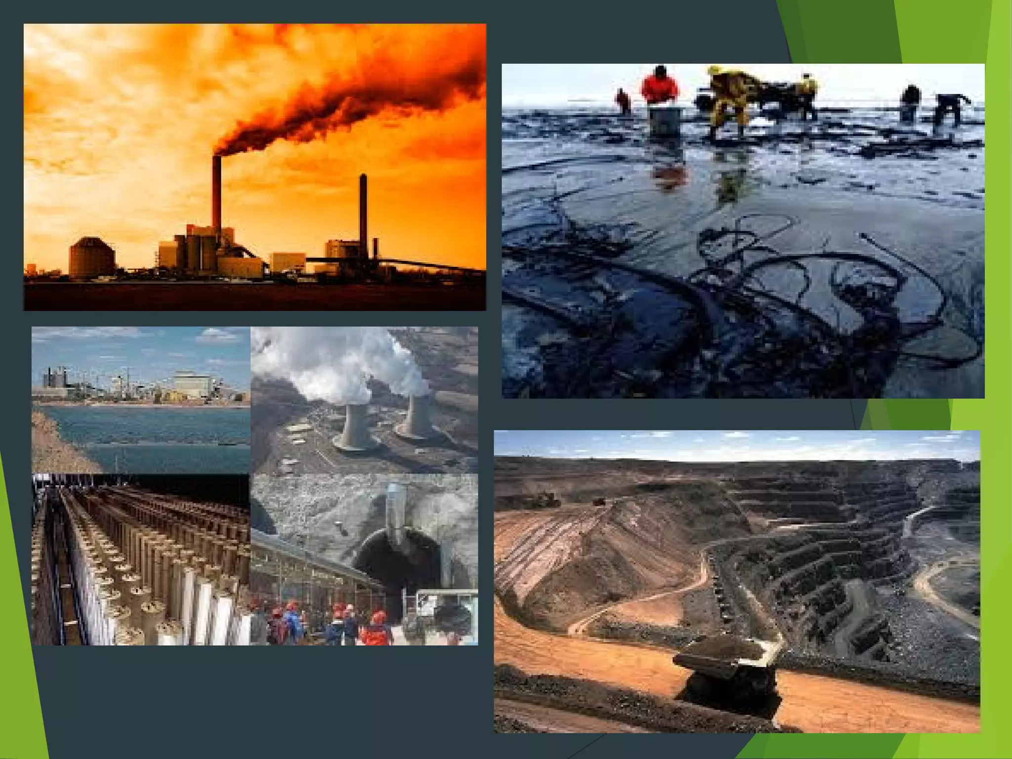 Human impact on environment | PPT