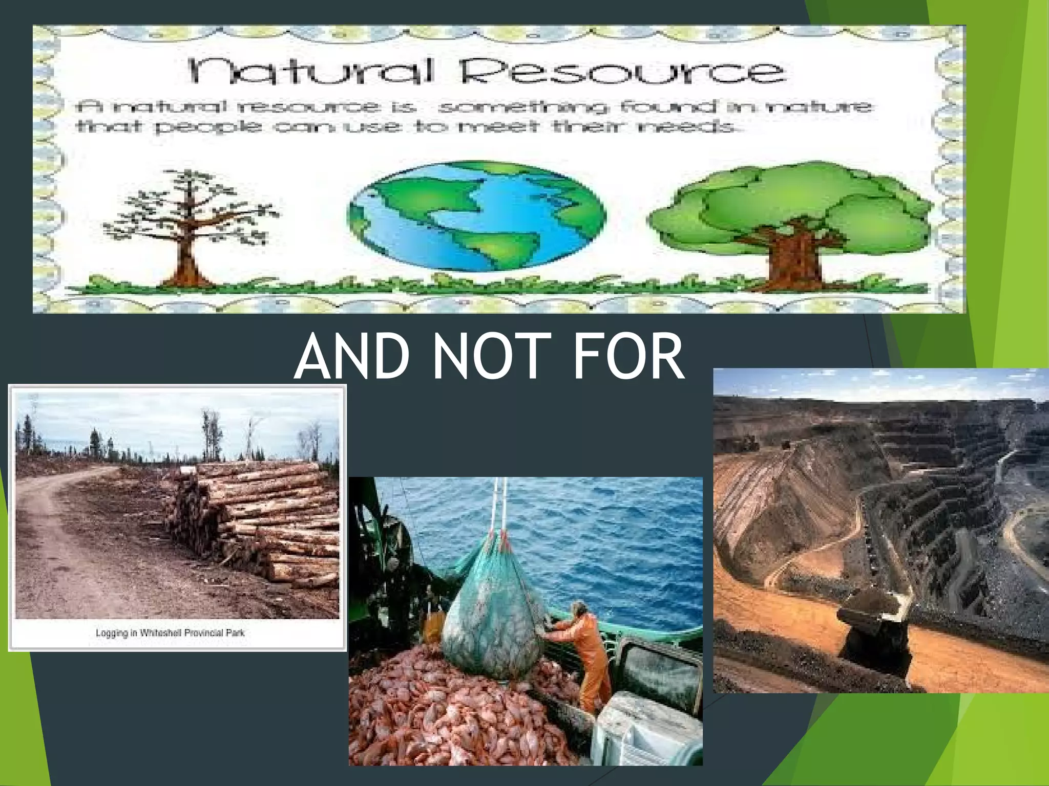 Human impact on environment | PPT