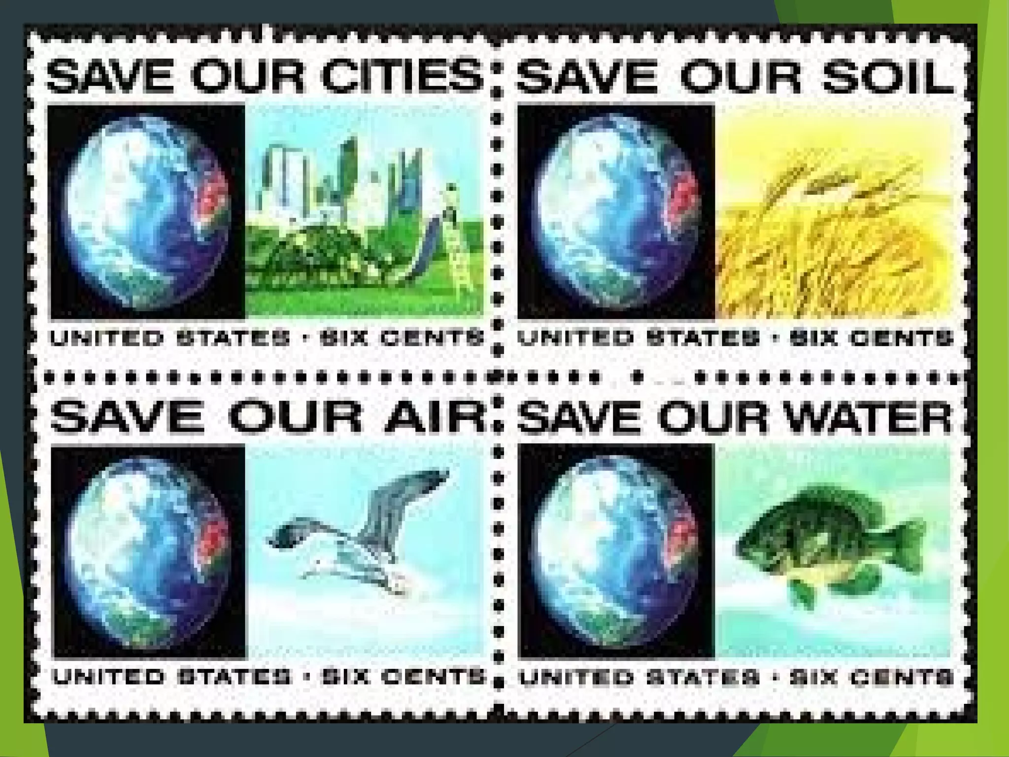 Human impact on environment | PPT