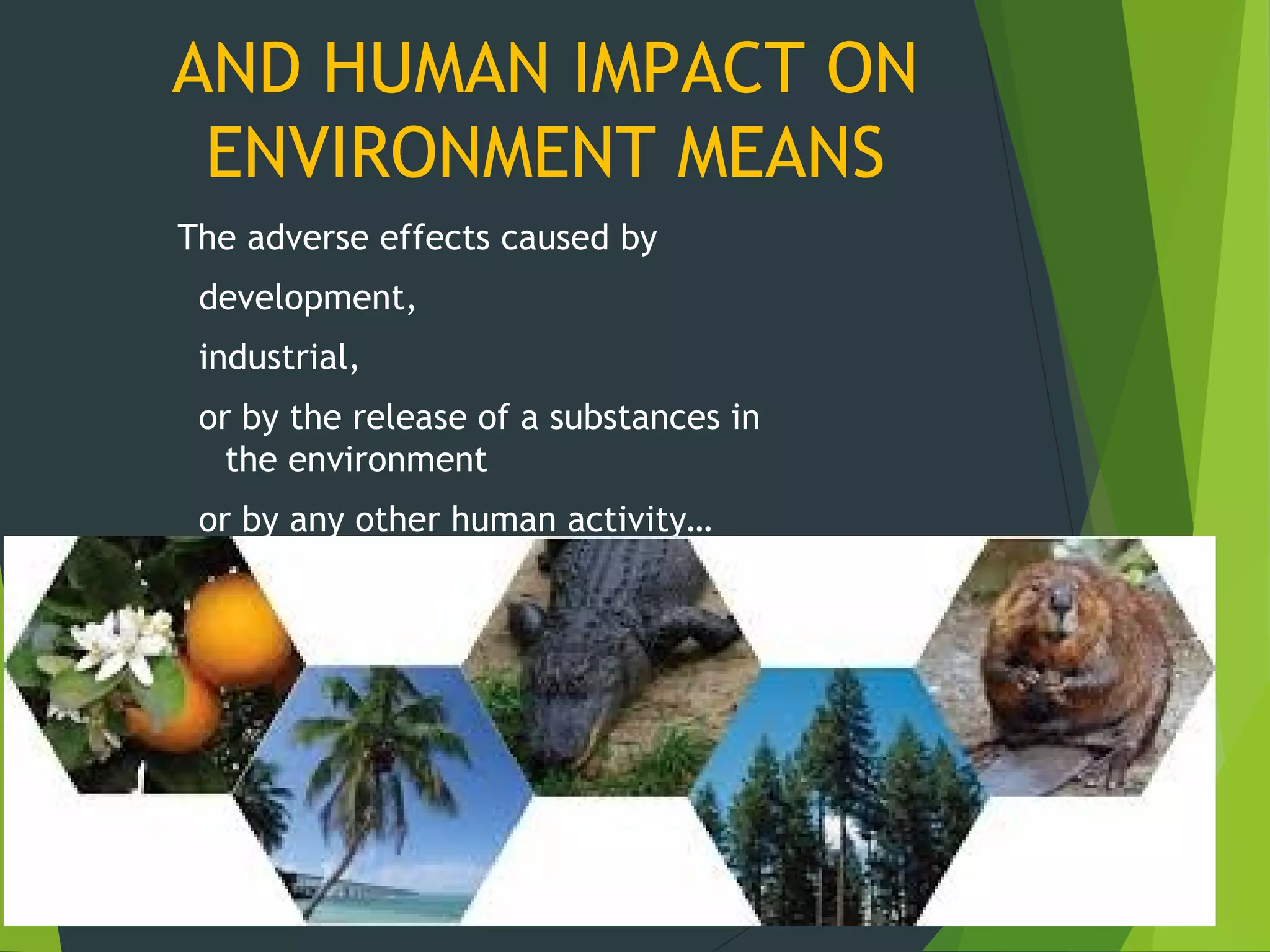 Human impact on environment | PPT