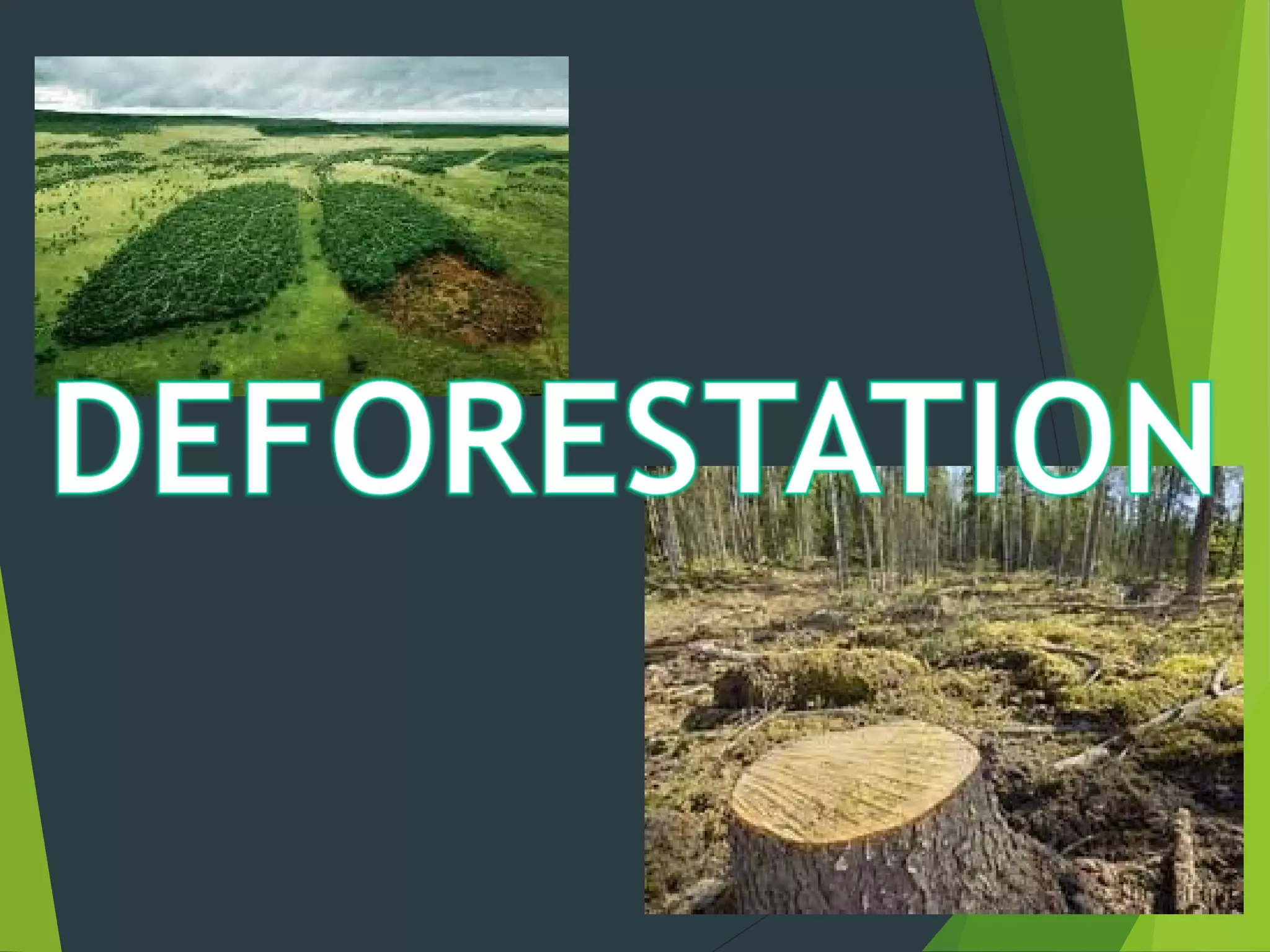 Human impact on environment | PPT