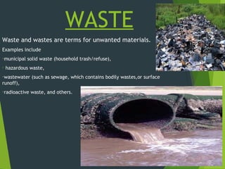 Human impact on environment | PPT