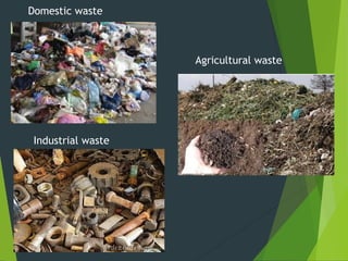 Human impact on environment | PPT