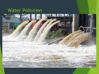 Human impact on environment | PPT