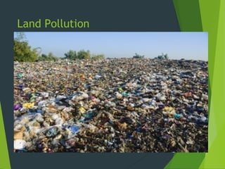 Human impact on environment | PPT
