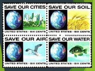 Human impact on environment | PPT